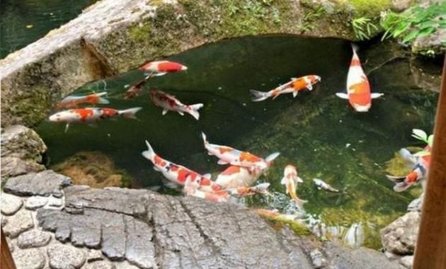 41 Fabulous Fish Pond Design Ideas For Your Home Yard - BESTHOMISH