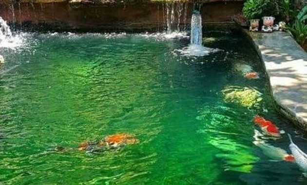 41 Fabulous Fish Pond Design Ideas For Your Home Yard - BESTHOMISH