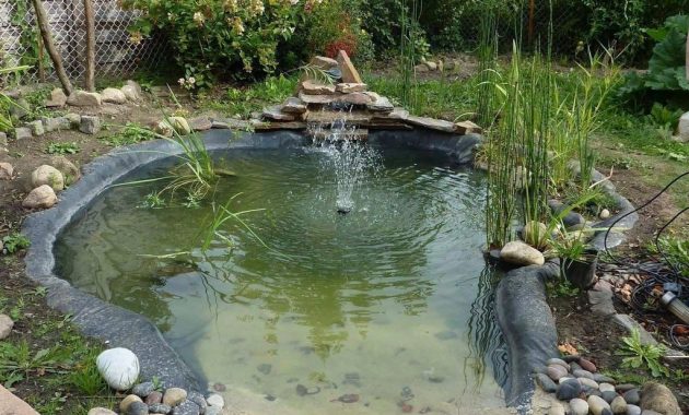 41 Fabulous Fish Pond Design Ideas For Your Home Yard - BESTHOMISH