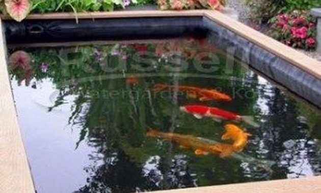 41 Fabulous Fish Pond Design Ideas For Your Home Yard - BESTHOMISH