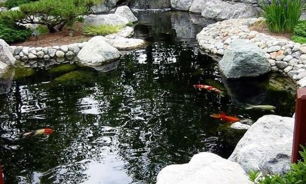 41 Fabulous Fish Pond Design Ideas For Your Home Yard - BESTHOMISH