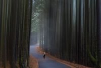 42 The Most Incredible Summer Places You Will Love To See Them Right ...