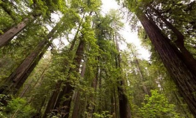 46 Top Most Astonishing Places In Usa That Are Totally Worth To Visit ...