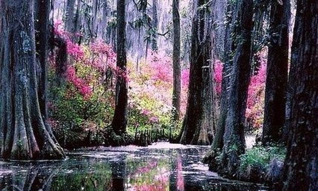 46 Top Most Astonishing Places In Usa That Are Totally Worth To Visit ...