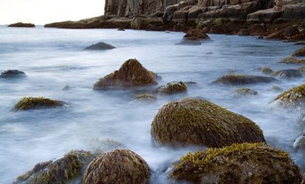 46 Top Most Astonishing Places In Usa That Are Totally Worth To Visit ...