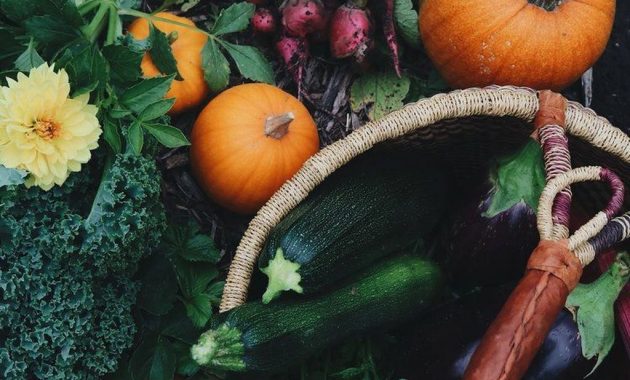 40 Helpful Tips For Autumn Update Of Your Garden - BESTHOMISH