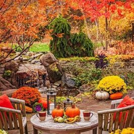 40 Helpful Tips For Autumn Update Of Your Garden – BESTHOMISH