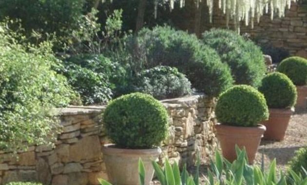41 Ideas For Your Garden From The Mediterranean Landscape Design ...