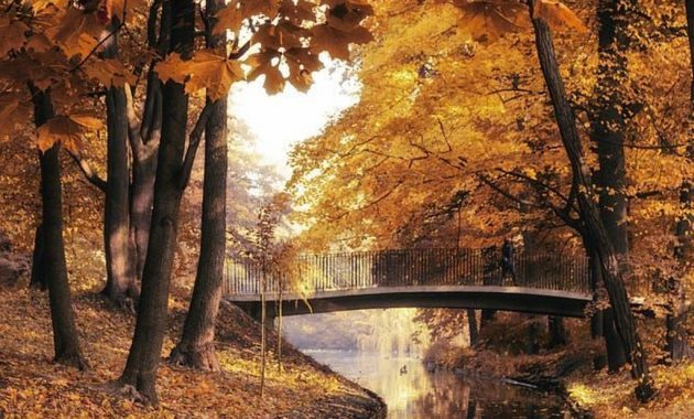 46 Soothing Autumn Landscape Ideas For This Season - BESTHOMISH