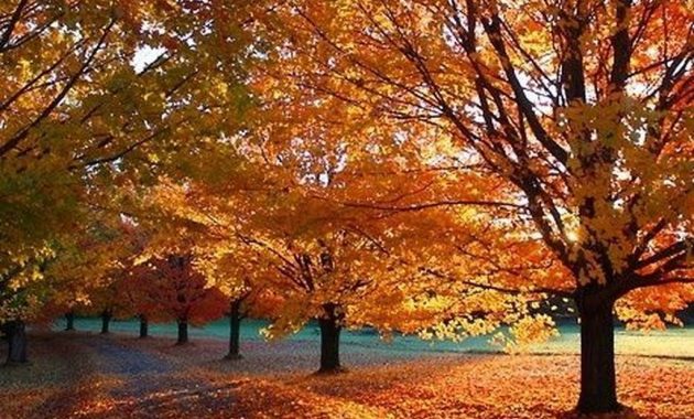 46 Soothing Autumn Landscape Ideas For This Season - BESTHOMISH