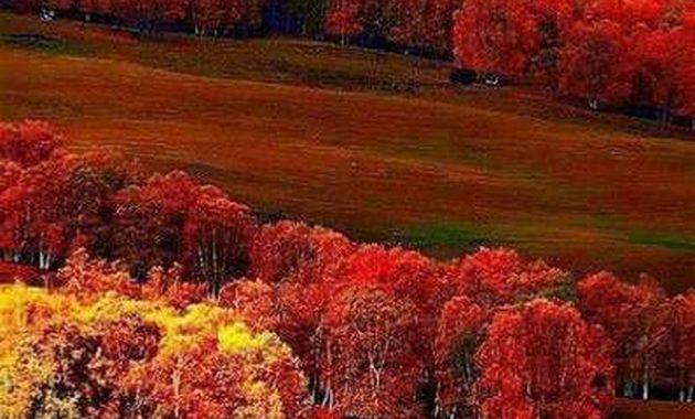 46 Soothing Autumn Landscape Ideas For This Season - BESTHOMISH