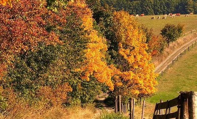 46 Soothing Autumn Landscape Ideas For This Season - BESTHOMISH