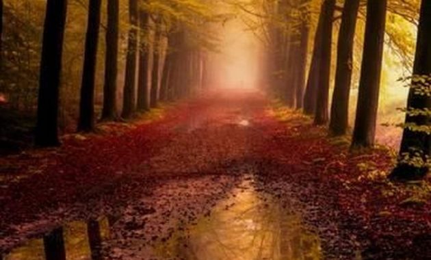 46 Soothing Autumn Landscape Ideas For This Season - BESTHOMISH