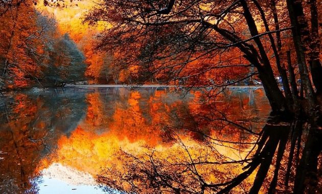 46 Soothing Autumn Landscape Ideas For This Season - BESTHOMISH