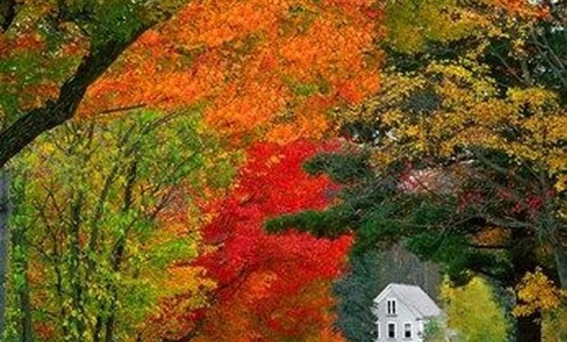 46 Soothing Autumn Landscape Ideas For This Season - BESTHOMISH