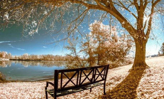 46 Soothing Autumn Landscape Ideas For This Season - BESTHOMISH