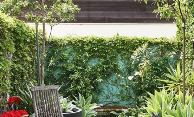 42 Lovable Small Place Gardening - BESTHOMISH