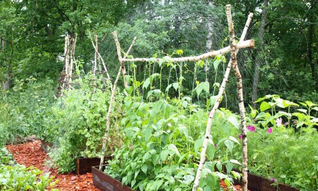 42 Lovable Small Place Gardening - BESTHOMISH